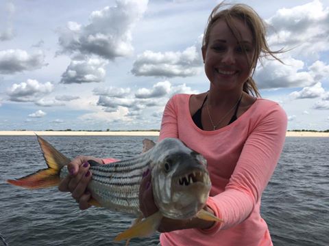 Botswana / Namibia / Zambia – Touch The Wild