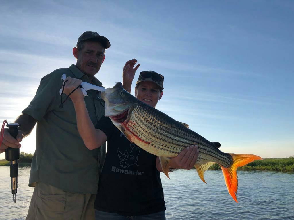 TIGER FISHING – Touch The Wild